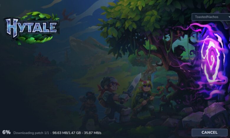 Hytale: errores en el launcher bloquean la descarga del RPG; mira las ...